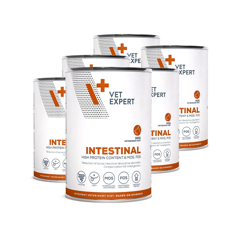 Intestinal [Wet] – Vet Expert Hong Kong