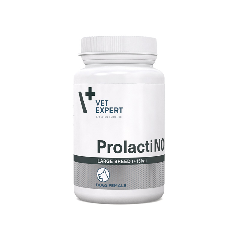 ProlactiNO [Dog – Large Breed] – Vet Expert Hong Kong